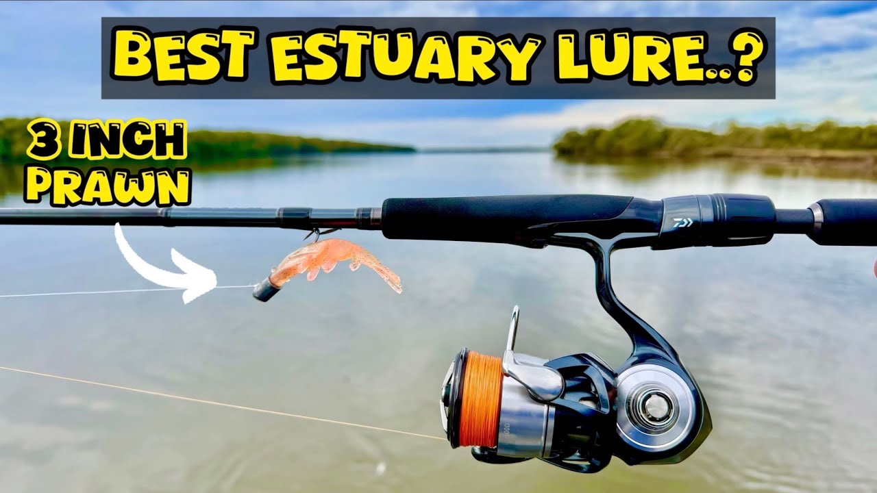 All Estuary FISH eat this Lure !! - YouTube