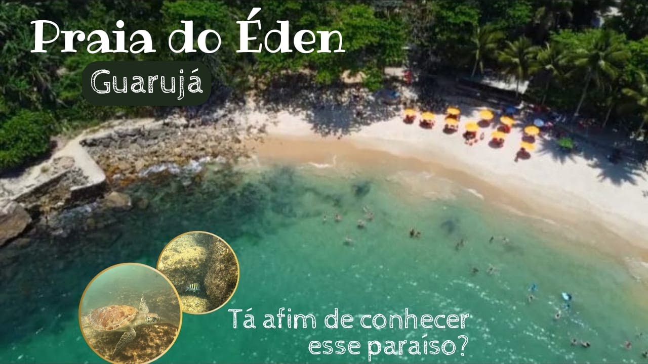 Praia do Éden🏝🤿🐢 | Guarujá [ DICAS/TUDO QUE VOCÊ PRECISA SABER] - YouTube