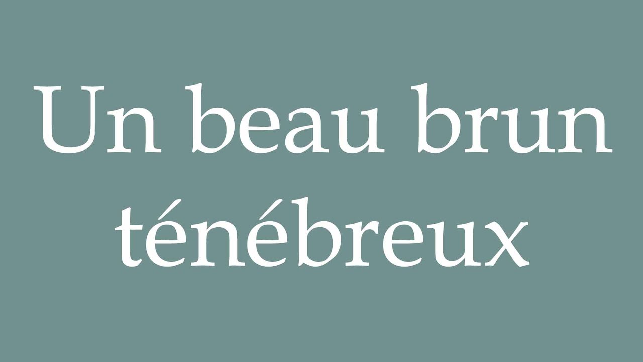 How to Pronounce ''Un beau brun ténébreux'' (A handsome dark brown ...