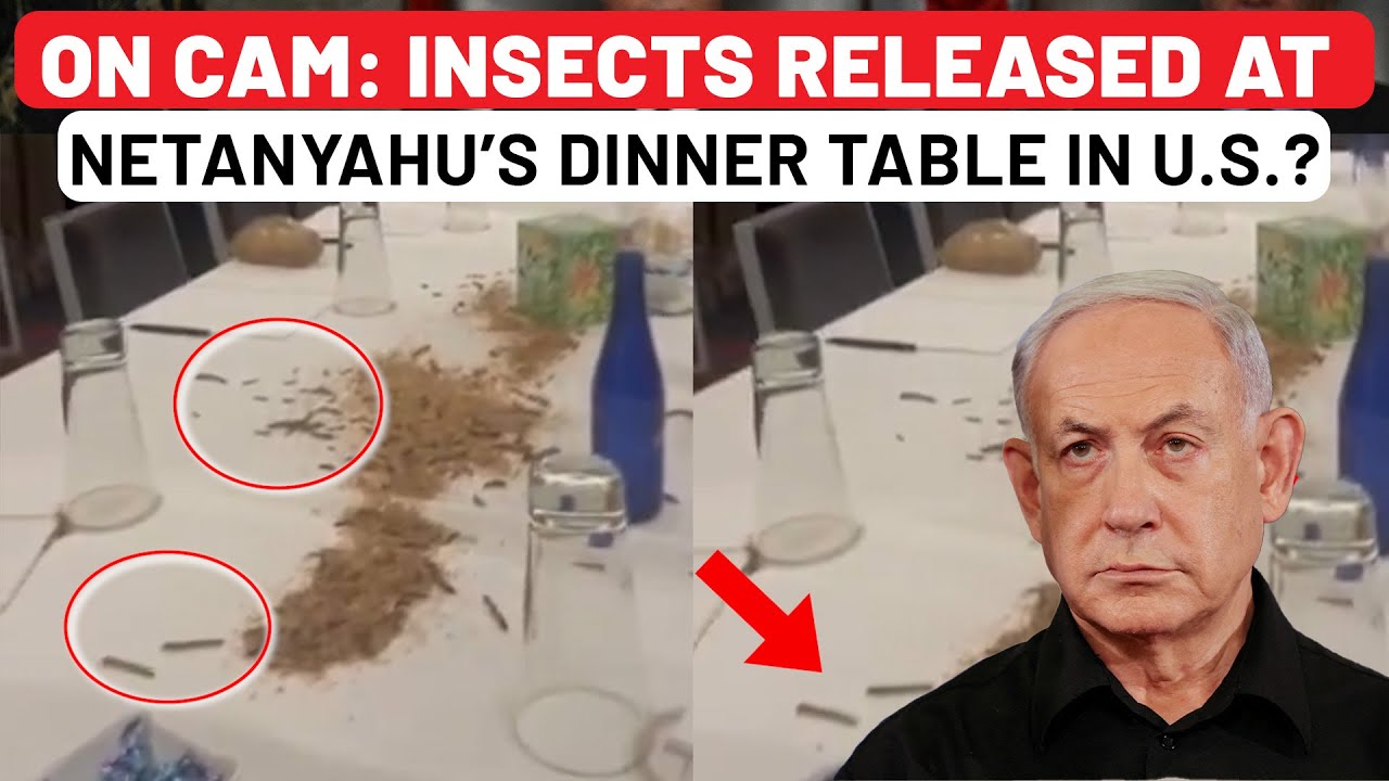 Netanyahu’ US Hotel Vandalised By Pro-Palestinian Protesters; Maggots ...
