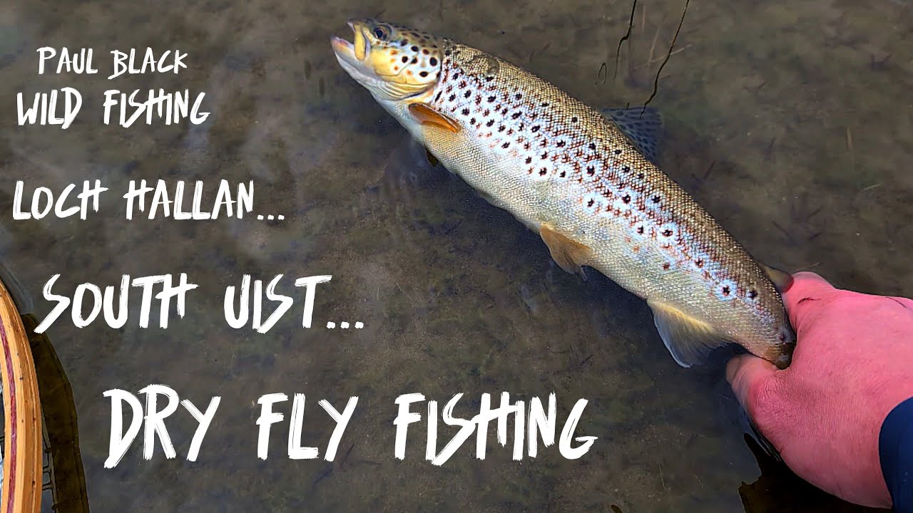 South Uist...Outer Hebrides...Loch Hallan...DRY FLY fishing - YouTube