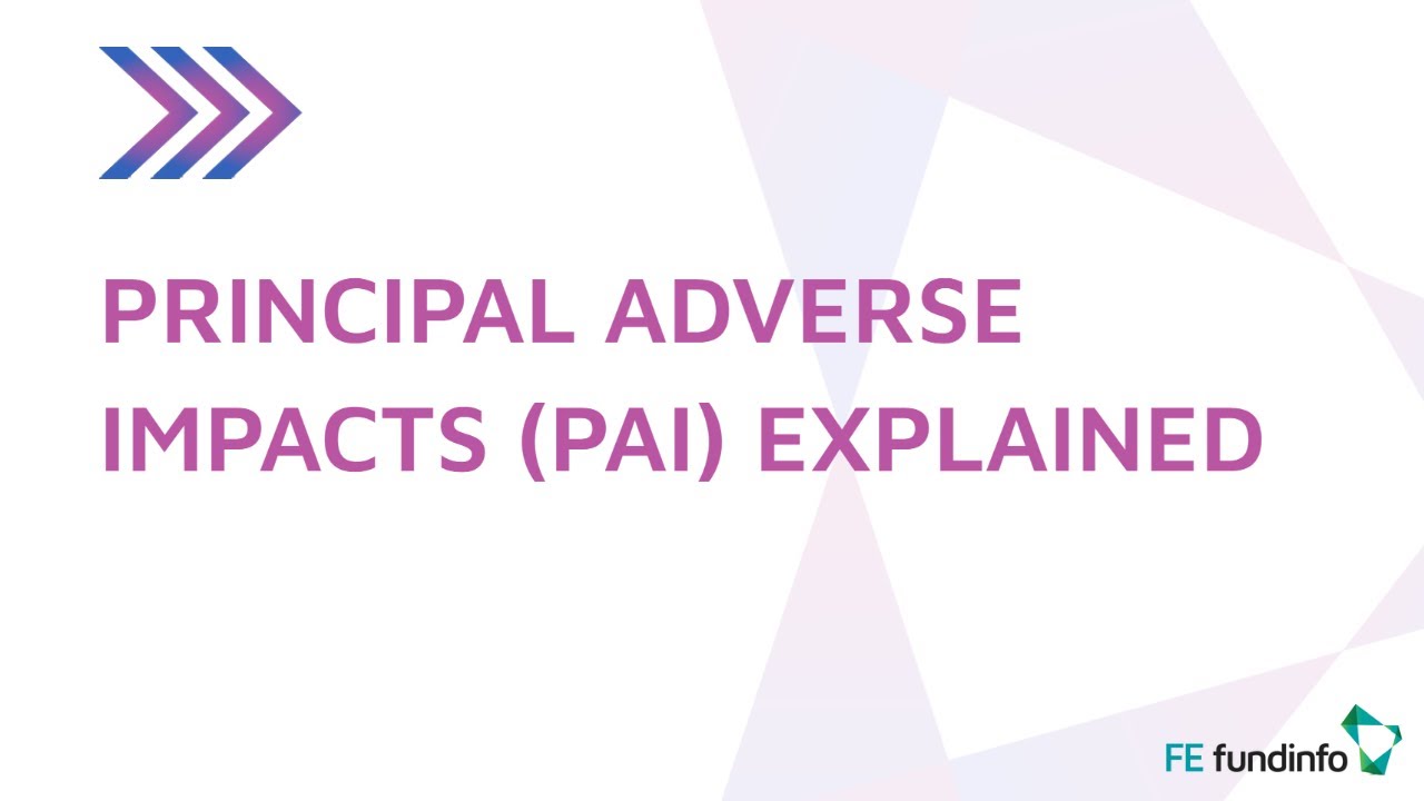 Principal Adverse Impacts (PAI) explained - YouTube