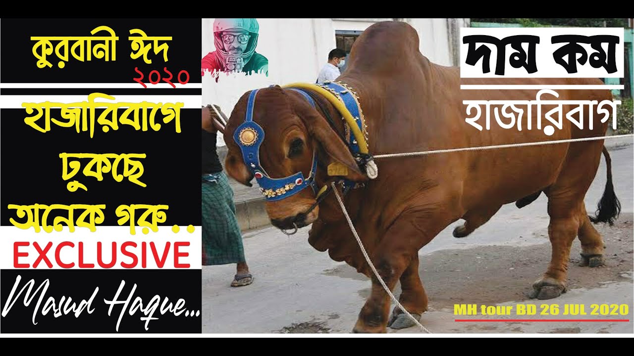 HAAT 2020. Dhaka Hazaribagh Qurbani Eid Haat. - YouTube
