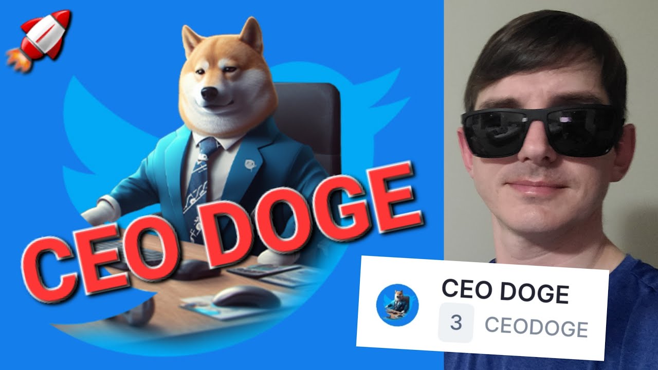 $CEODOGE - CEO DOGE TOKEN CRYPTO COIN HOW TO BUY NFTS BSC ETH CEODOGE ...