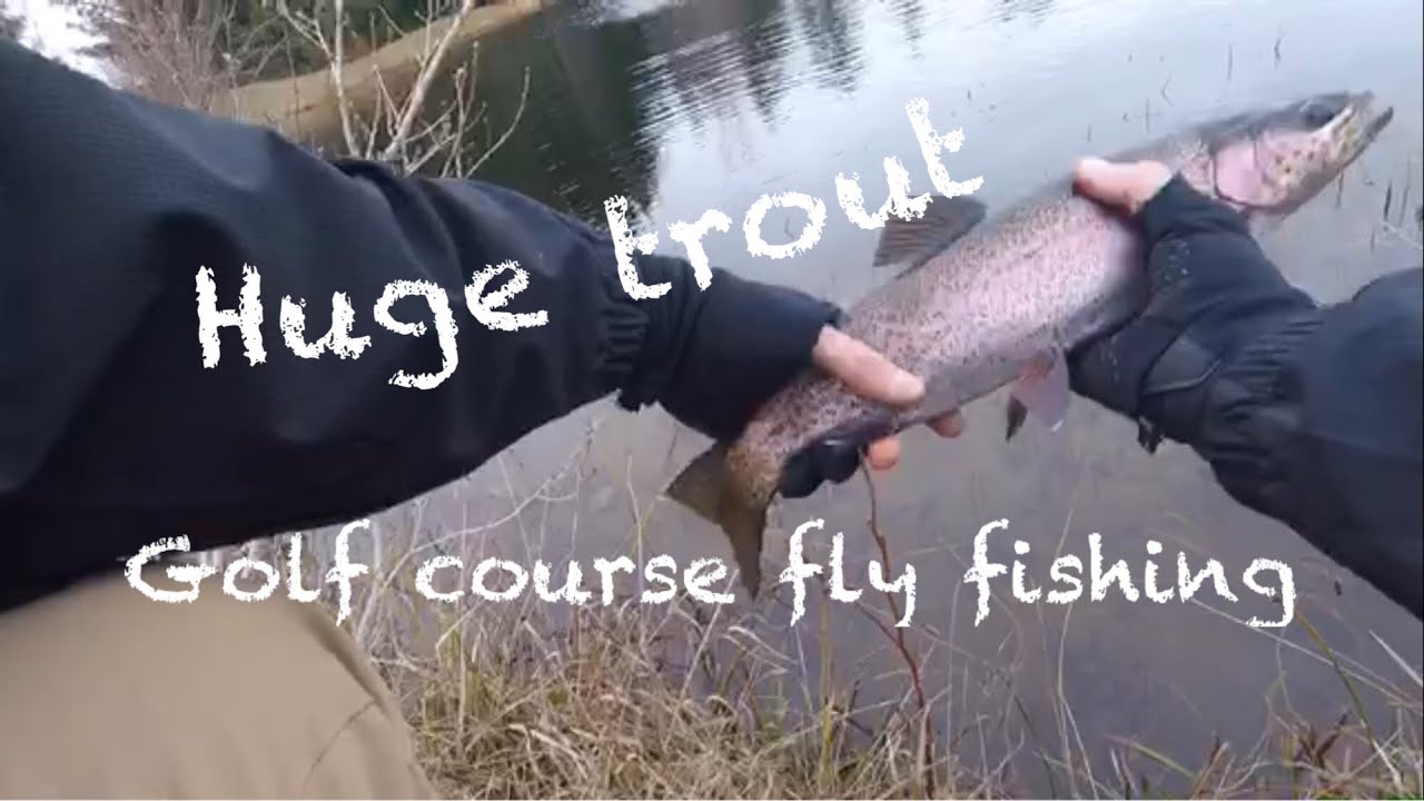 Catching Huge Trout In Golf Course Ponds - YouTube