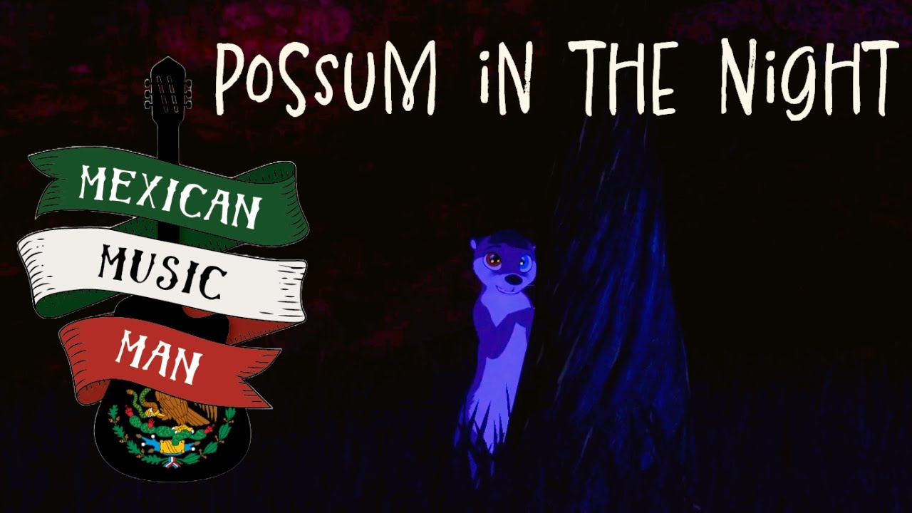 MEXICAN MUSIC MAN - Possum in the night - YouTube