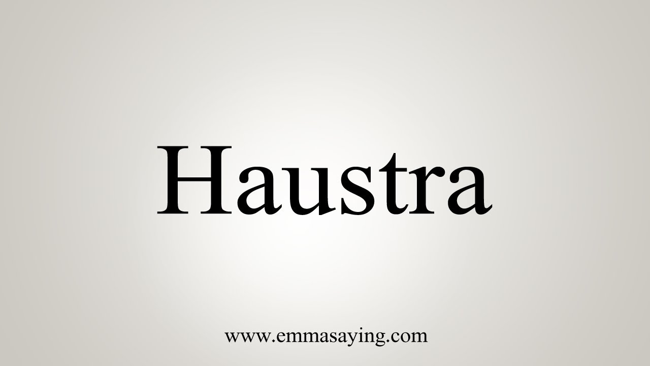 How To Say Haustra - YouTube