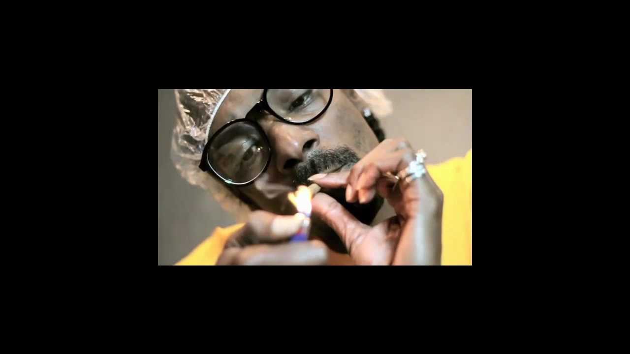 Snoop Dogg - Stoner's Anthem (Official Music Video) HD - YouTube