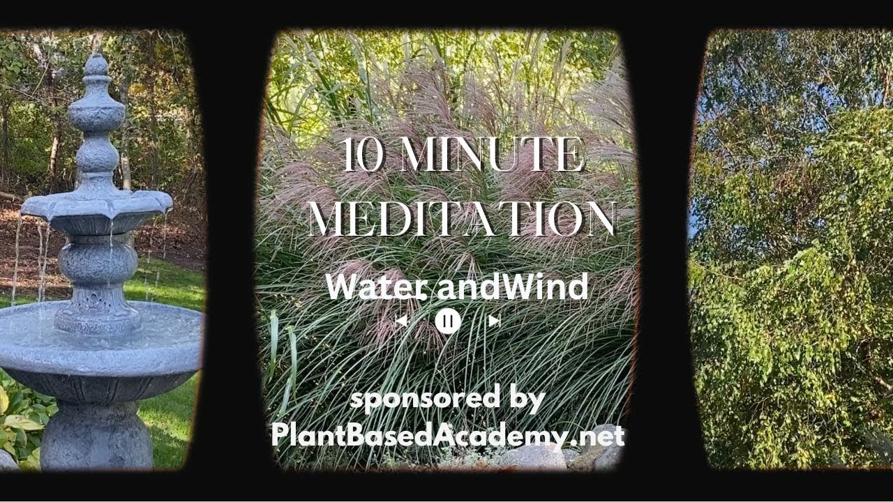 10 Minute Meditation: Wind and Water - YouTube