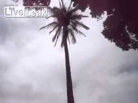 Mexicano entrenando para trepar el muro hacia Estados Unidos - YouTube