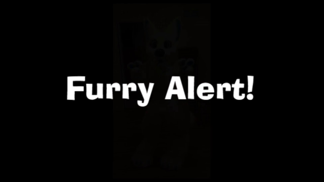 FURRY ALERT - YouTube