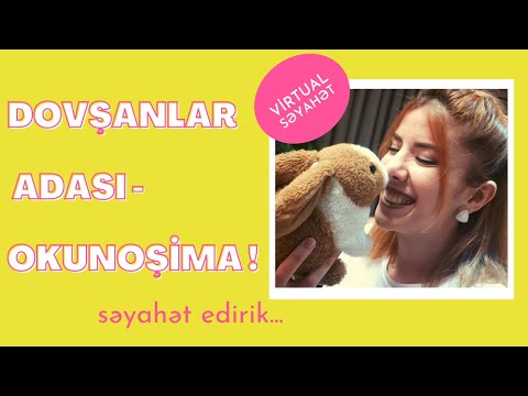 Dovşanlar adasını bu qədər yaxından görmüşdünüz? - Okunoşima adasına virtual səyahət edirik!