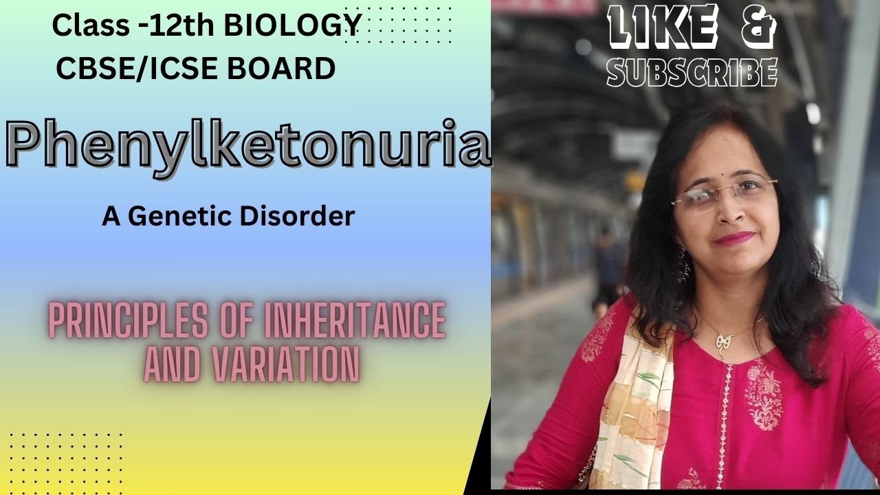 Phenylketonuria | a genetic disorder | Mendelian Genetics |class 12th ...