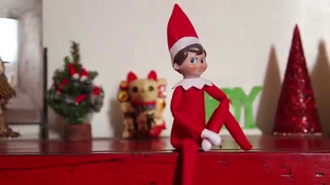 Frank the Cat VS Elf on a Shelf: Day 4 - YouTube