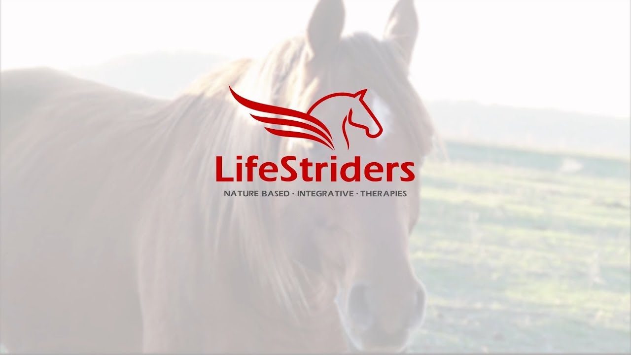 LifeStriders - YouTube