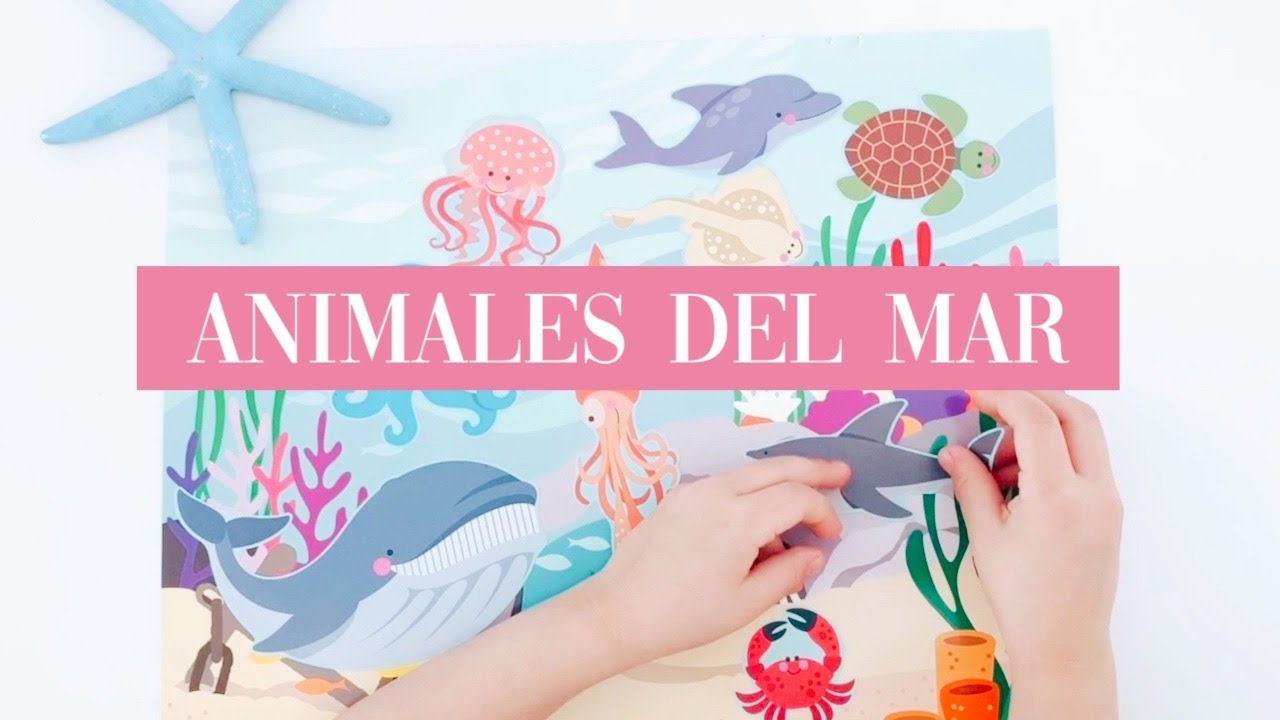 Animales Del Mar (English/Spanish) / APRENDE - YouTube