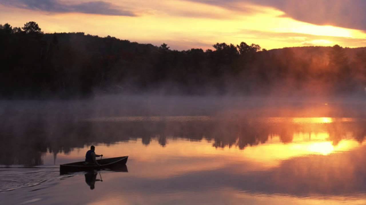 Rose, Tomas Walker (música clásica) - YouTube