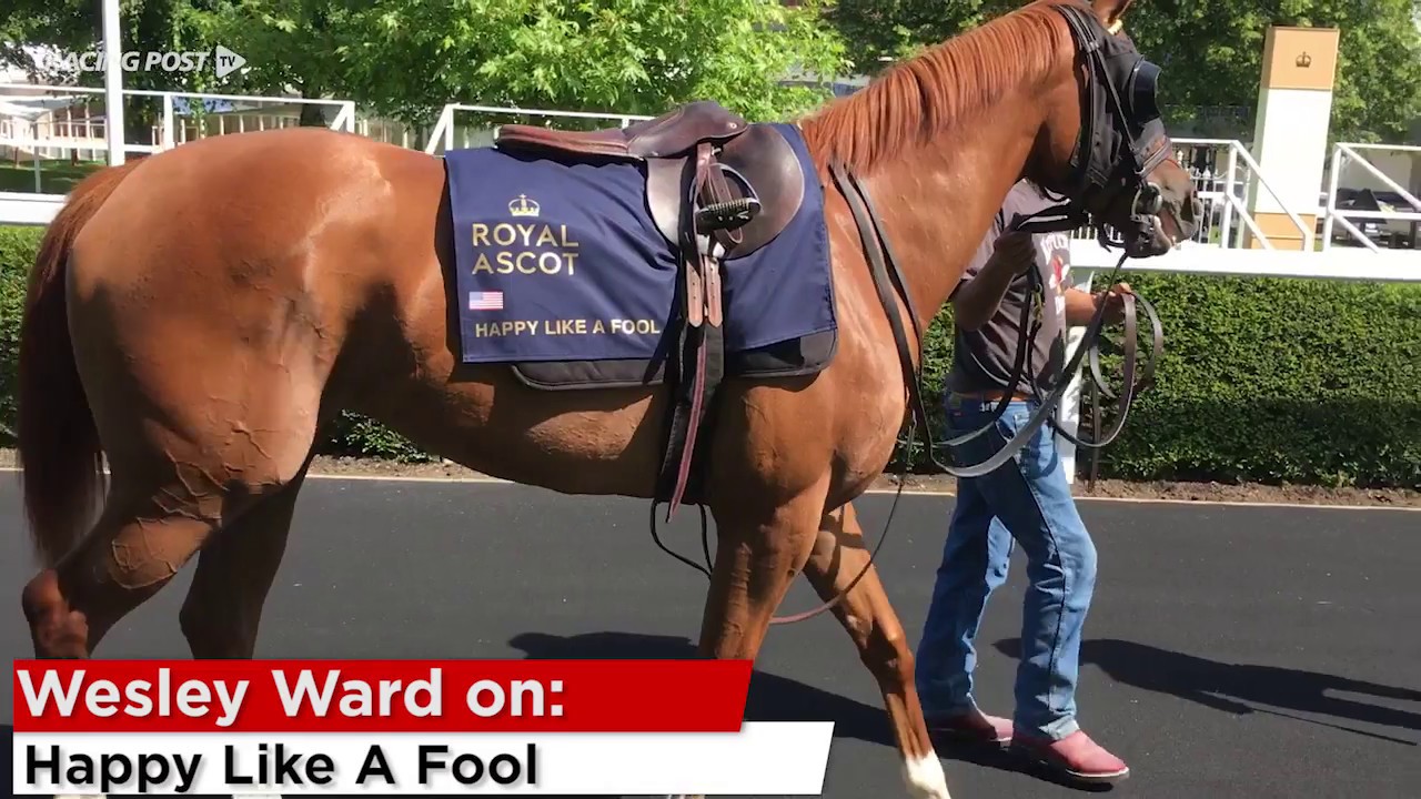 Wesley Ward on his Royal Ascot Fillies - YouTube