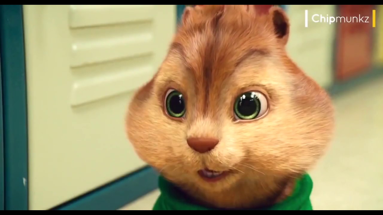 Mara rashka kamar - YouTube