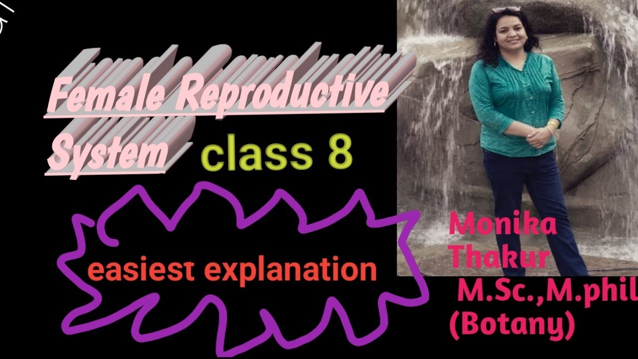 Female Reproductive system class8.Explore bio - YouTube