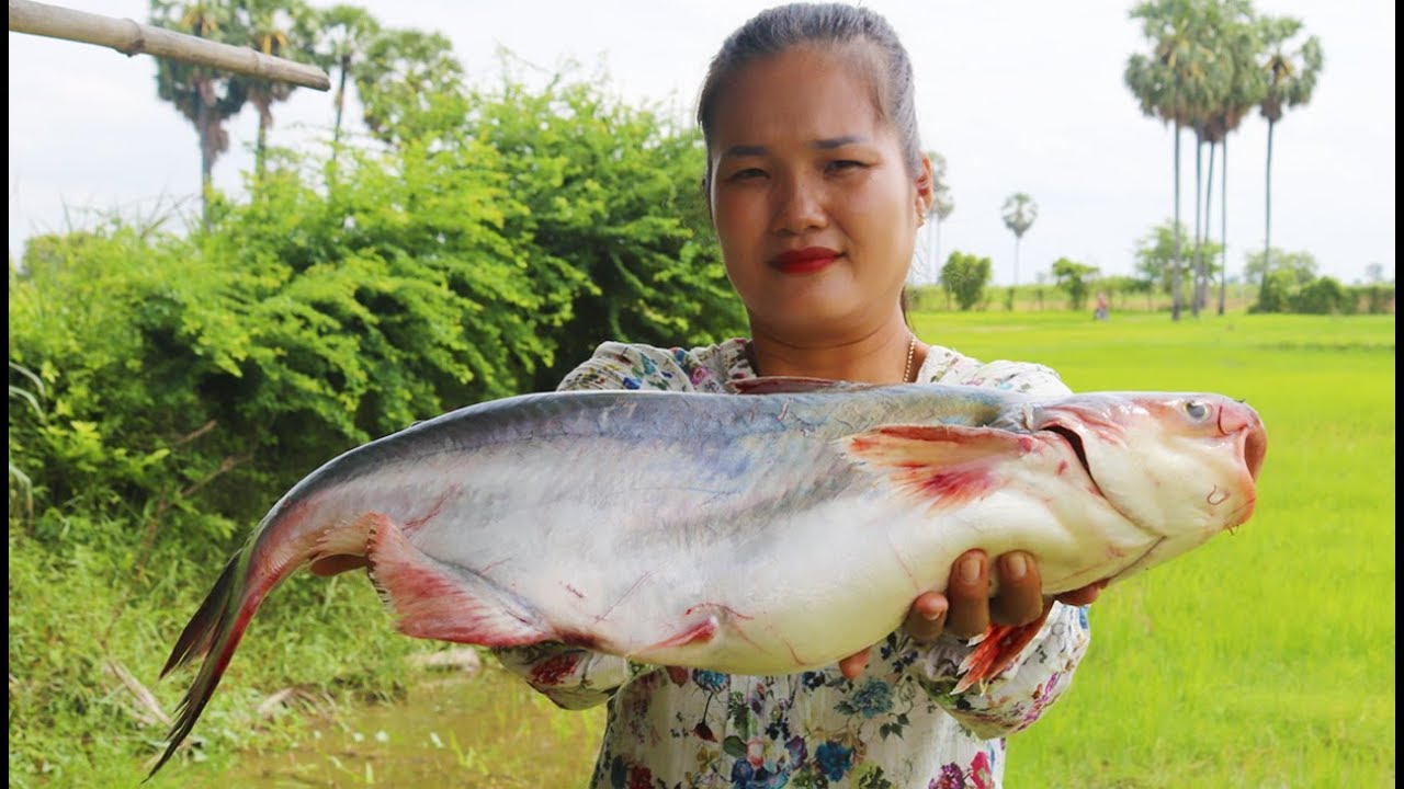 Yummy Fried Big Fish with Chili Sate Sauce | Fried Big Fish Cooking ...
