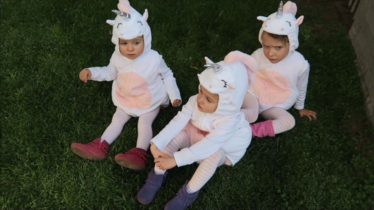 UNICORNS REALLY DO EXIST - YouTube
