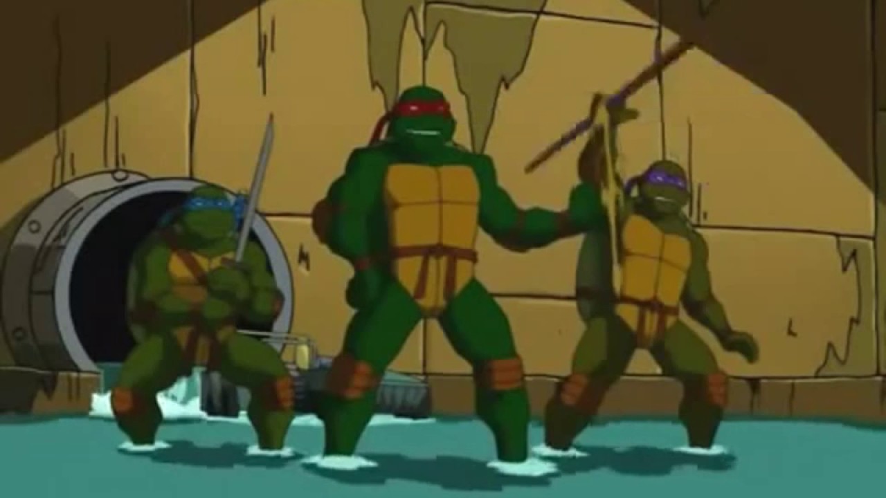 TMNT 2017 Teenage Mutant Ninja Turtles- S02-E12~ What a Croc - YouTube
