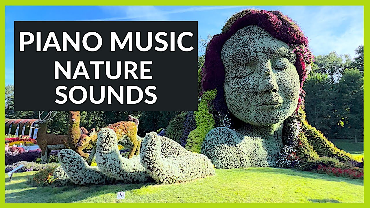 Piano Serenade in Nature’s Embrace | 4K Relaxation with Waterfall ...