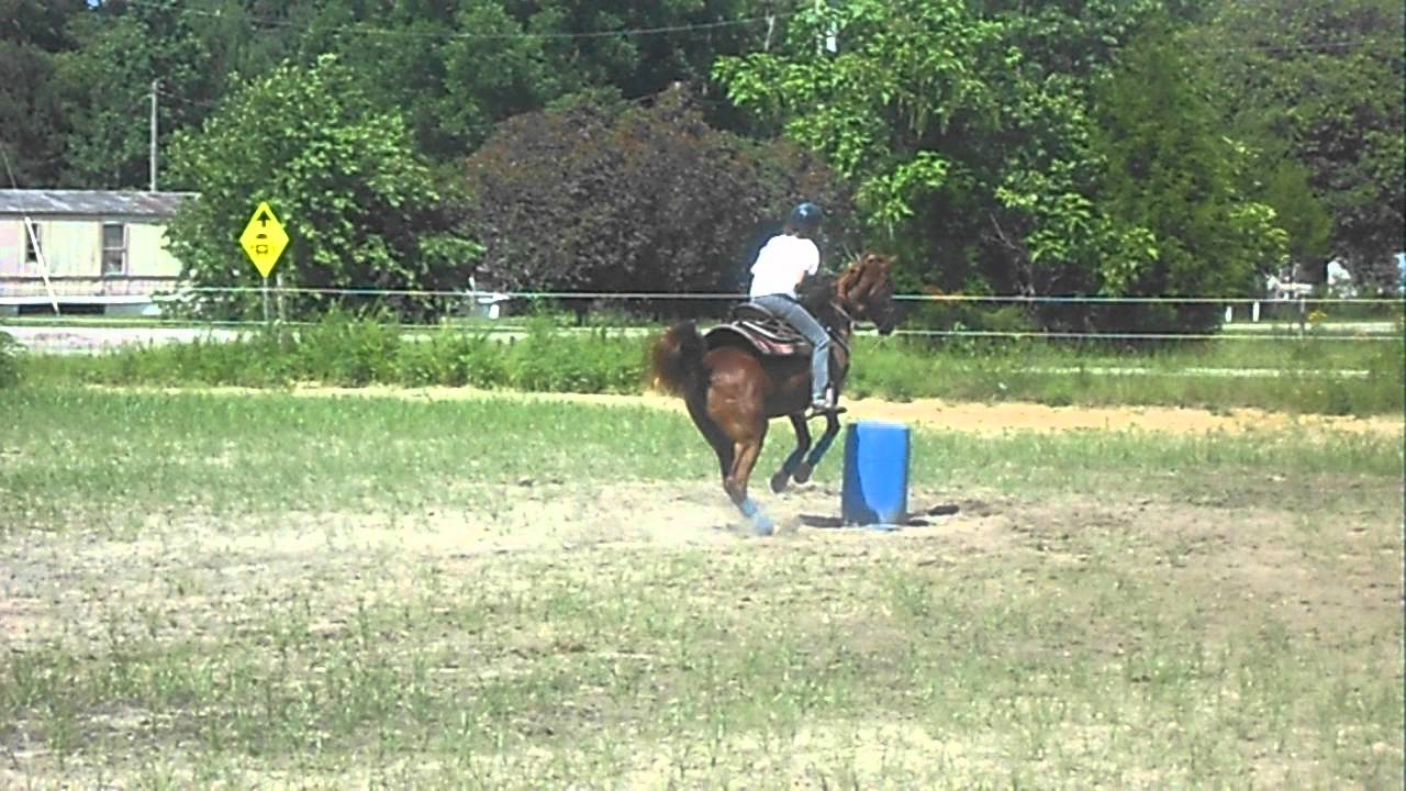 Barrel/ jumping horse :P - YouTube