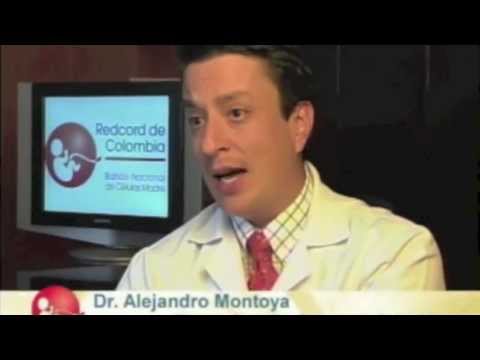¿Qué son las células madre? - Doctor Alejandro Montoya - YouTube