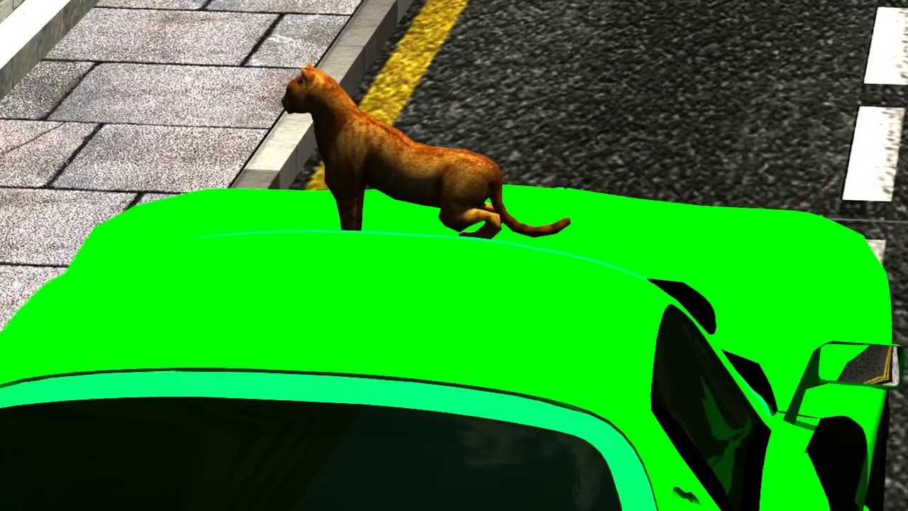 Marshal The Cat Animation - YouTube