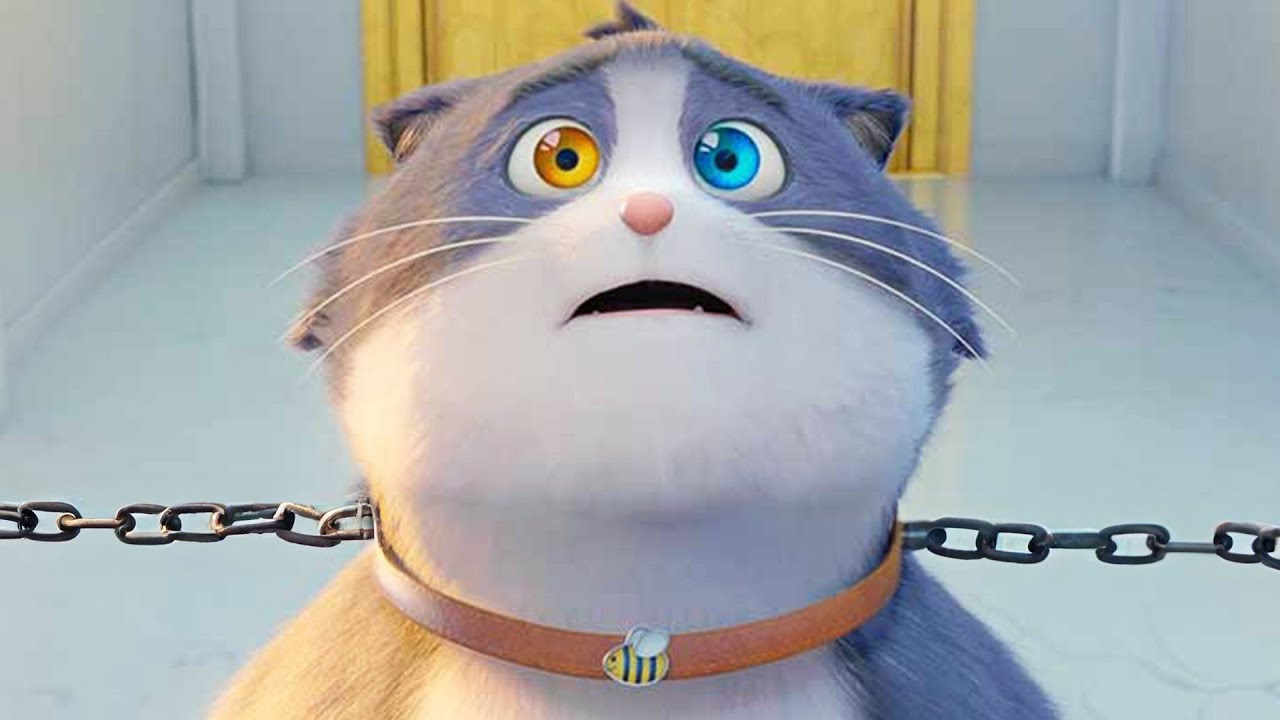 The Boss Doesn’t Know That The Fat Cat He Tortures Every Day Has ...