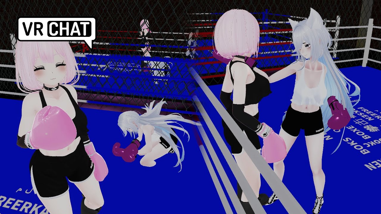 Ha nekoko cute knock down VRchat BOXING - YouTube