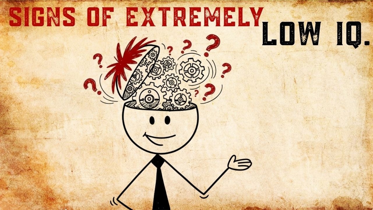 Everyday Habits That Reveal a Low IQ — The Hidden Patterns Behind Poor ...