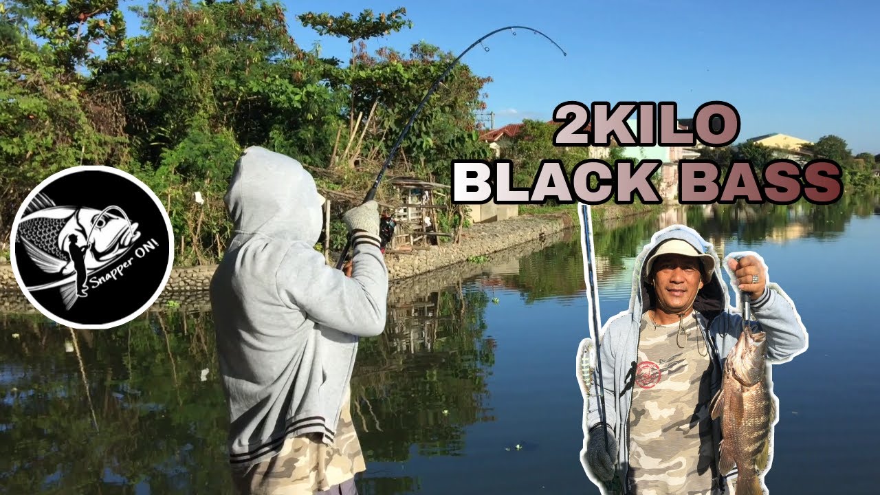 Snapper ON | Short video | 2kilo of Black bass - YouTube
