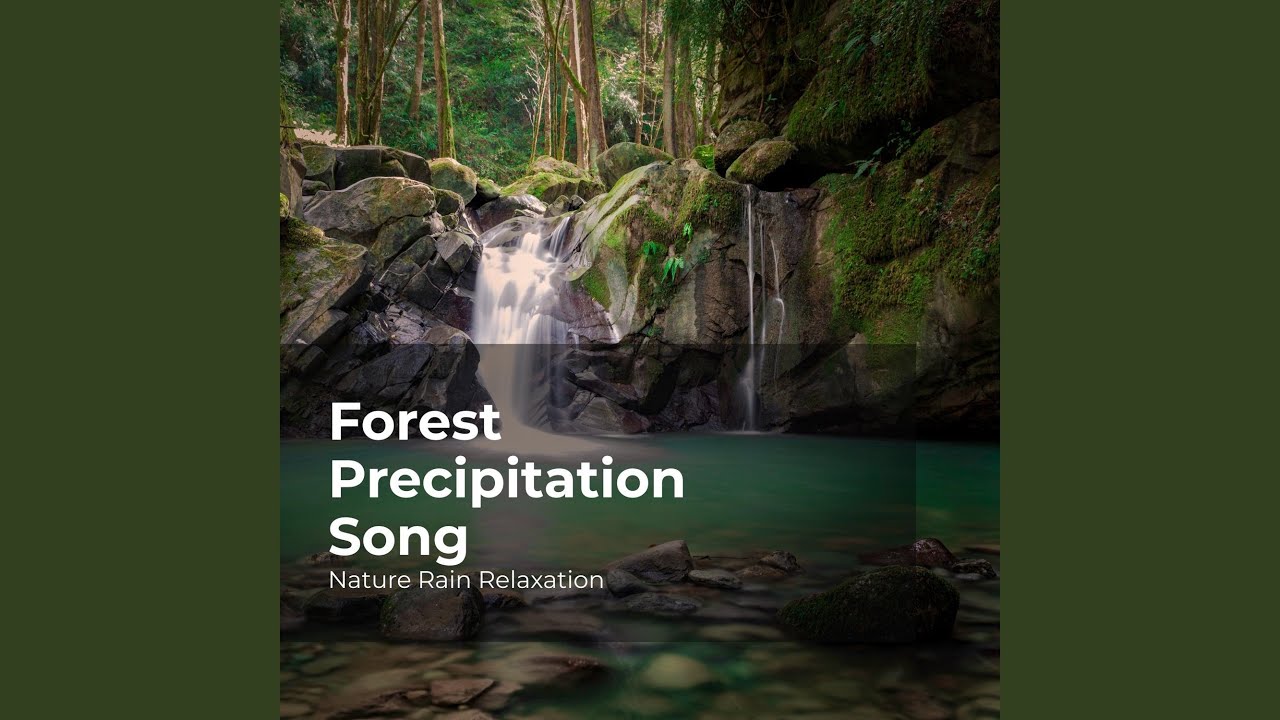 Forest Precipitation - YouTube