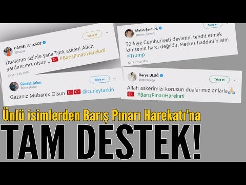 Ünlü isimlerden Barış Pınarı Harekatı'na destek