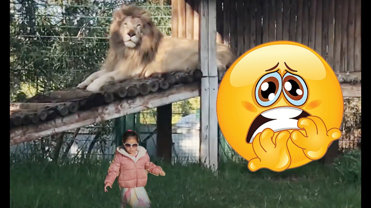 Malak attacked by animals in the Zoo - YouTube