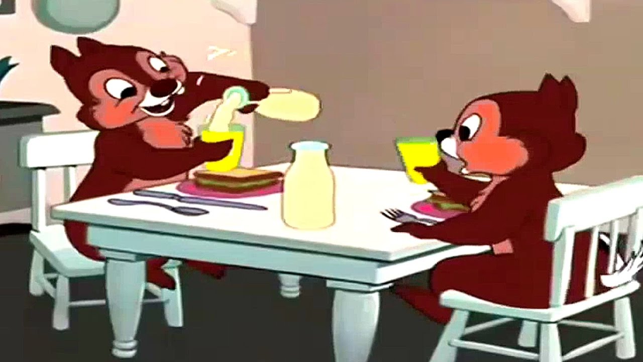 Chip and Dale Collection Best Funny Chipmunk Cartoon with Donald Duck ...