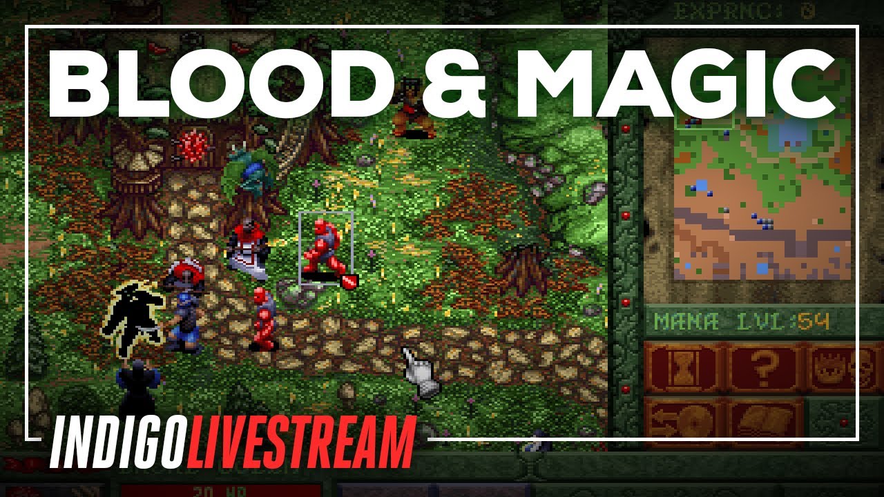 BLOOD & MAGIC | Dungeons & Dragons Real Time Strategy - YouTube