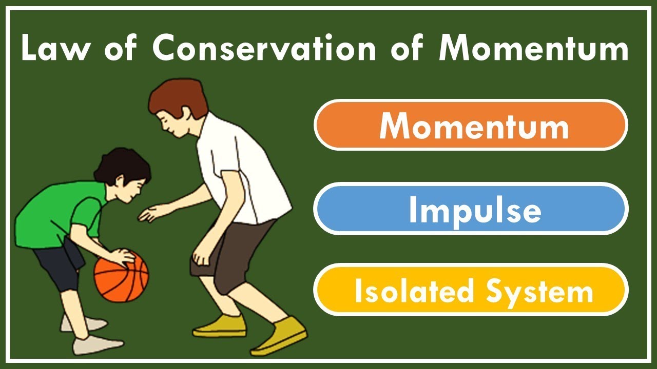 The Law Of Conservation Of Momentum Physics YouTube