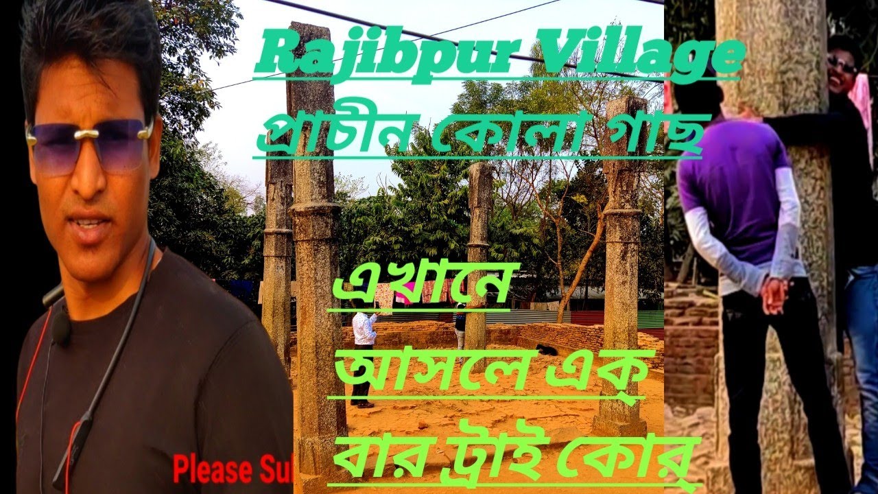 Rajibpur Village প্রাচীন কোলা গাছ \\ wish পুরো কোরে //#Laba Hasnda ...