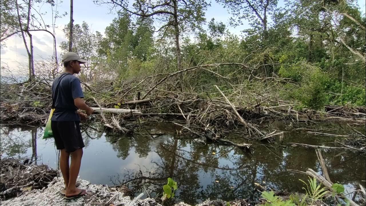 CASTING GABUS DI SORE HARI YANG SEMAKIN SERU - YouTube