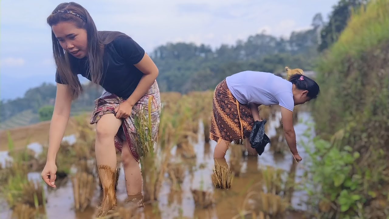 NAH LOH‼️ PADA NGAPAIN 2 JANDA INI ?! - YouTube