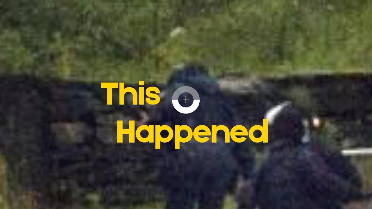 This Happened — July 22: Norway Terrorist Attacks - YouTube