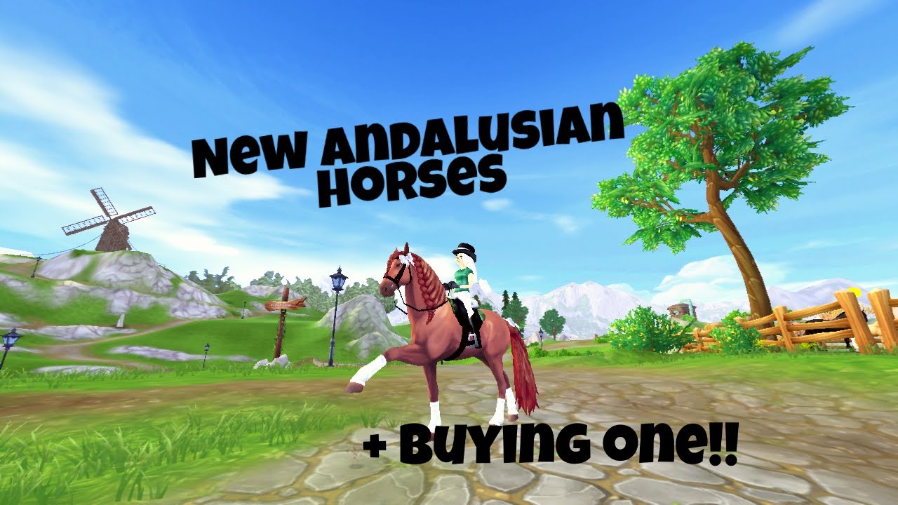 SSO - Buying one of the new Andalusians! - YouTube