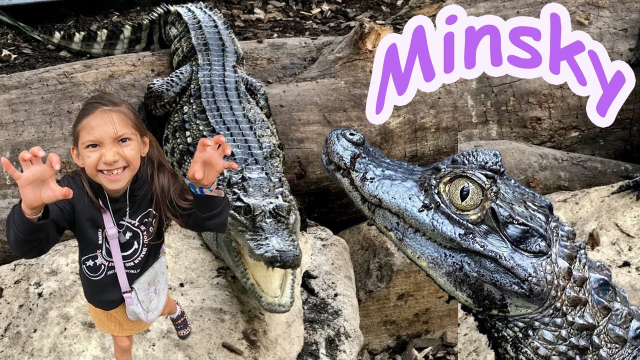 Kids Learn Zoo Animals & Crocodiles with Minsky! Learn Colours at the ...