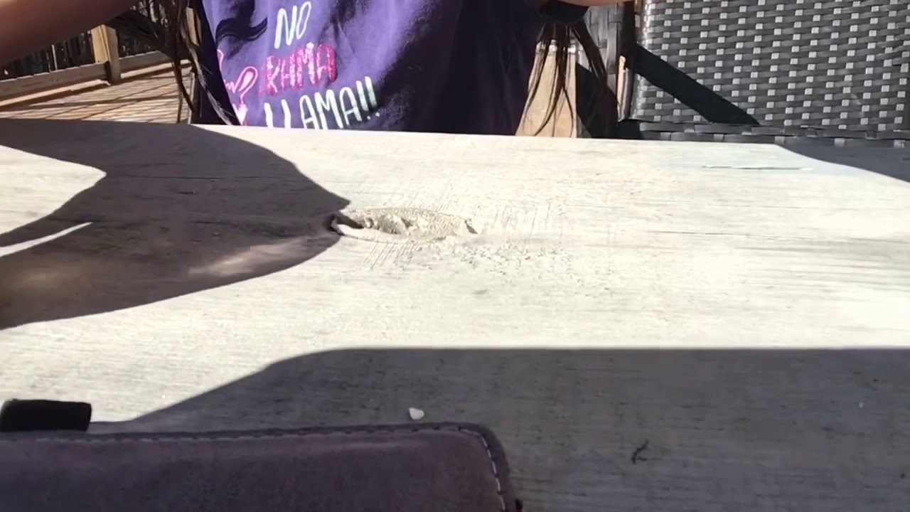 Cool Reverse tricks #3 - YouTube