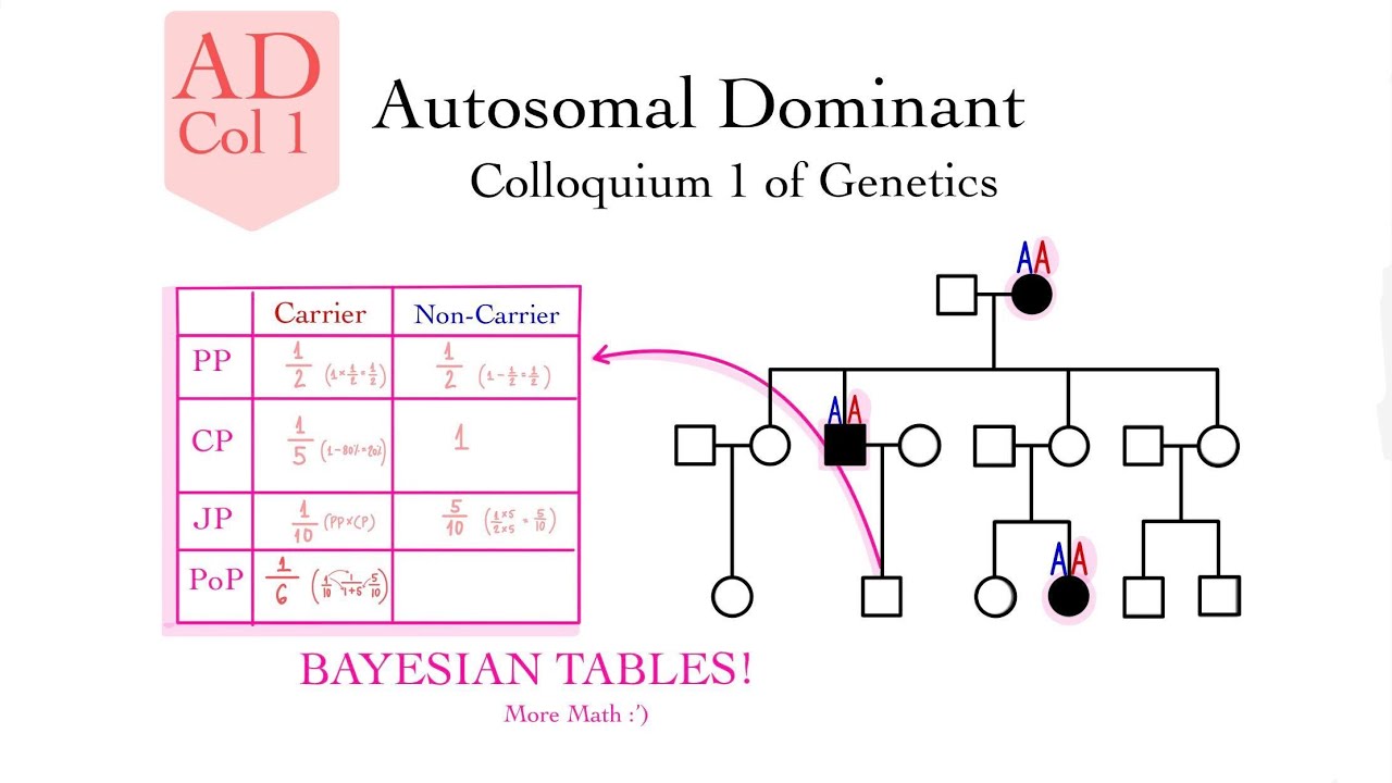 Autosomal DOMINANT Rules and Calculation Examples (Genetics Col 1 ...