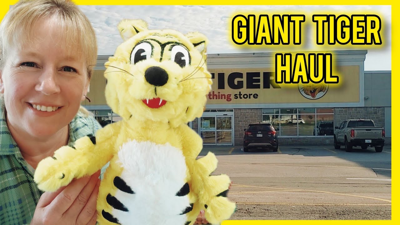 The Wonderful World of Giant Tiger - YouTube